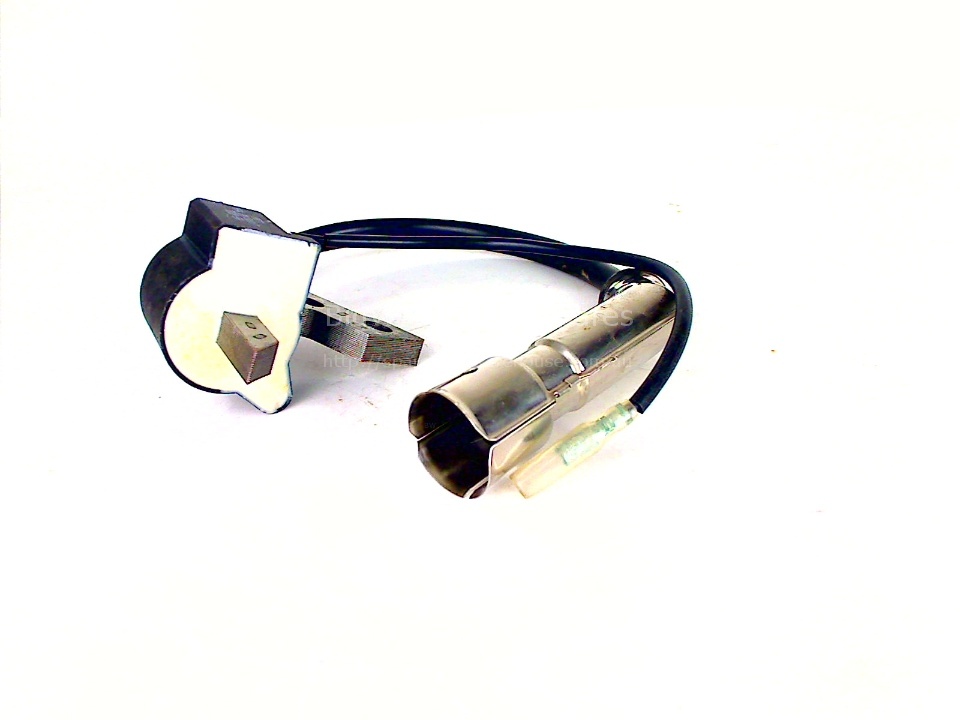 ignition coil assy | BigWarehouse Spares