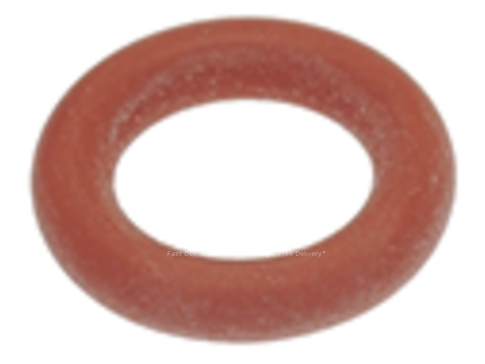 Saeco Components O-Ring and ORM gaskets o ring 0060 20 red silicone