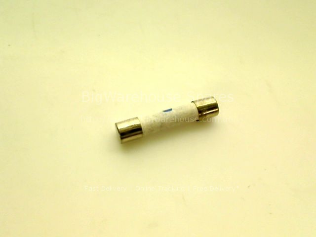 SAMSUNG Microwave Oven M197BNCE fuse 250v 12a slow blow ceramic